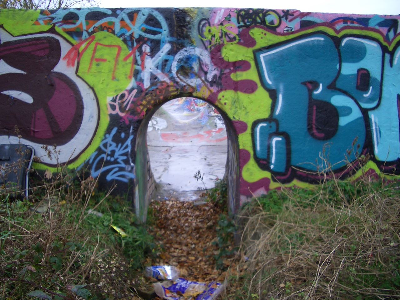 Locations Hub - Markfield Skatepark