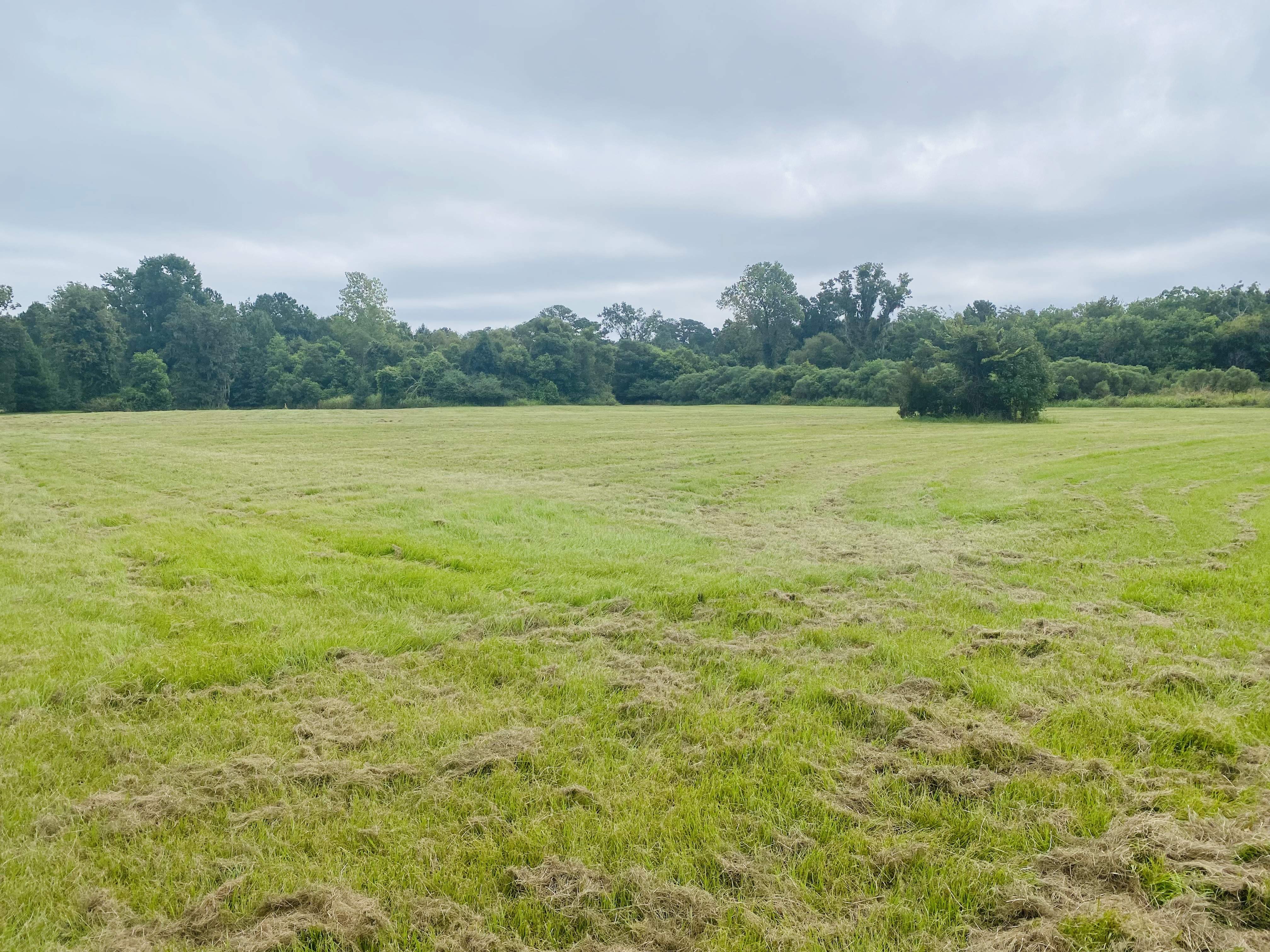 Locations Hub - Production Ready - Large Southern Charm Location for ...