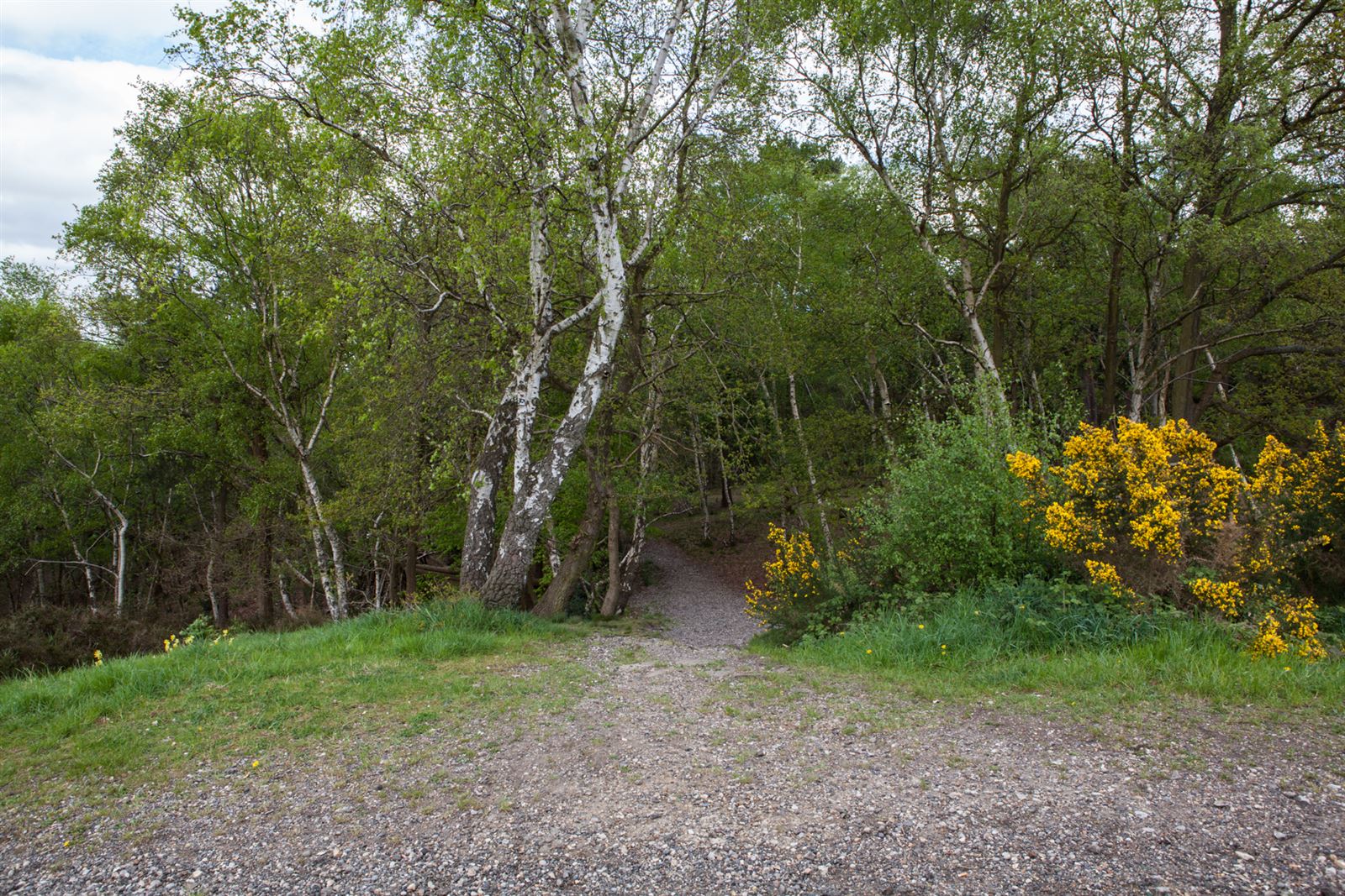 Locations Hub - Addington Hills Viewing Platform
