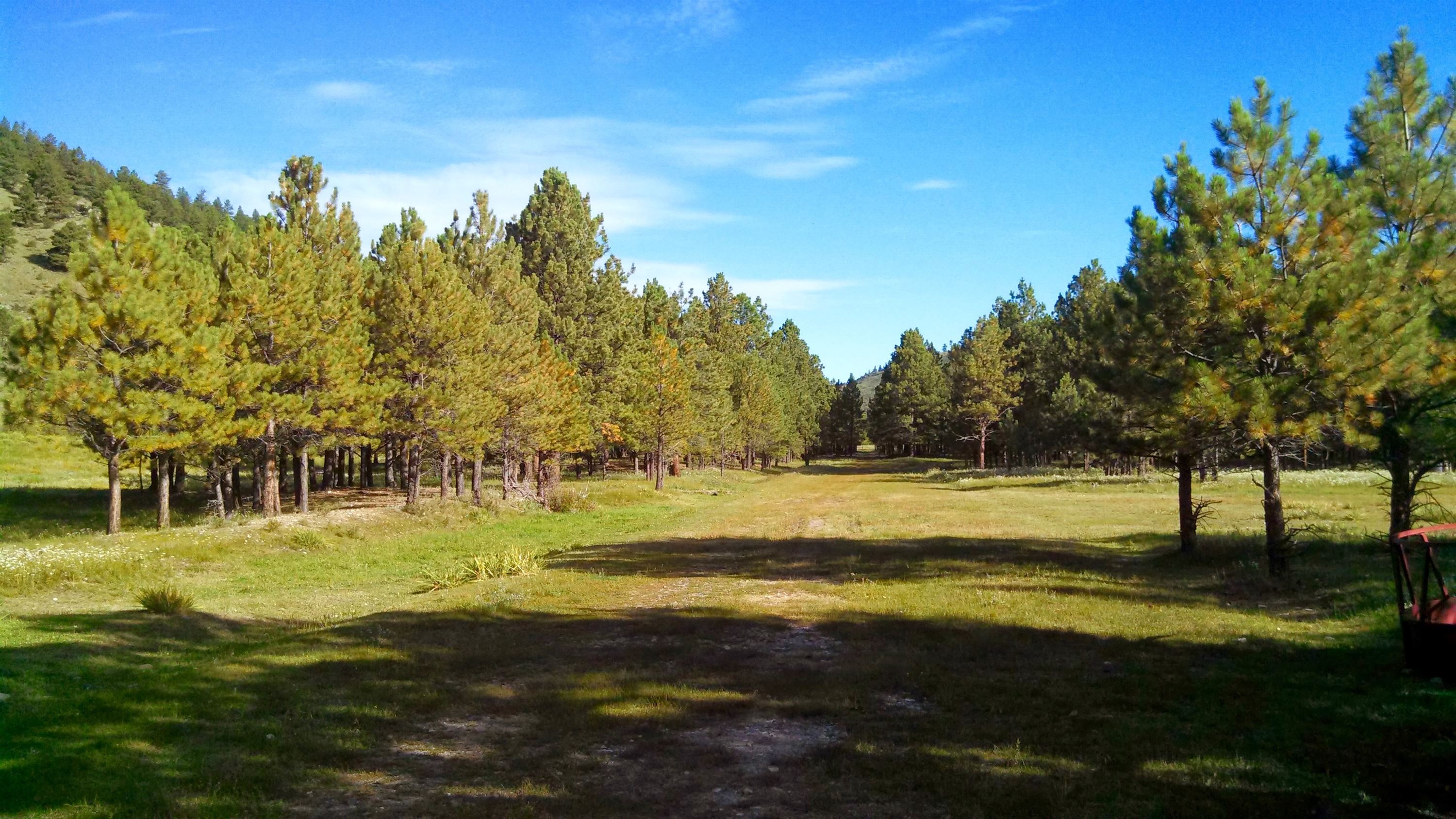 Locations Hub - C Diamond C Ranch