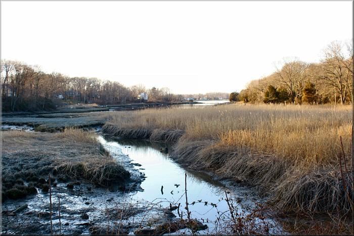 Locations Hub - Conscience Bay