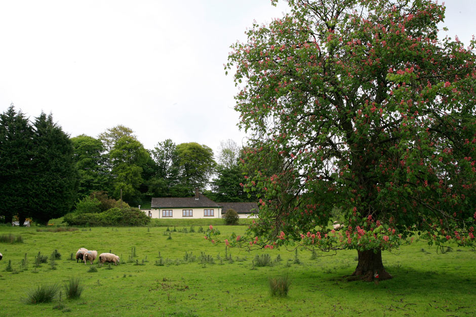 Locations Hub - Pendarren House - Exteriors & Grounds