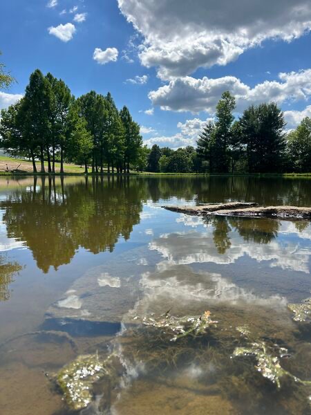 Locations Hub - Duvall Family Farms