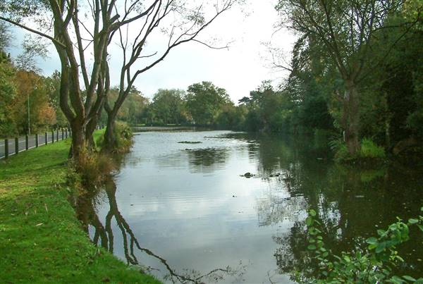 Locations Hub - Totteridge Ponds