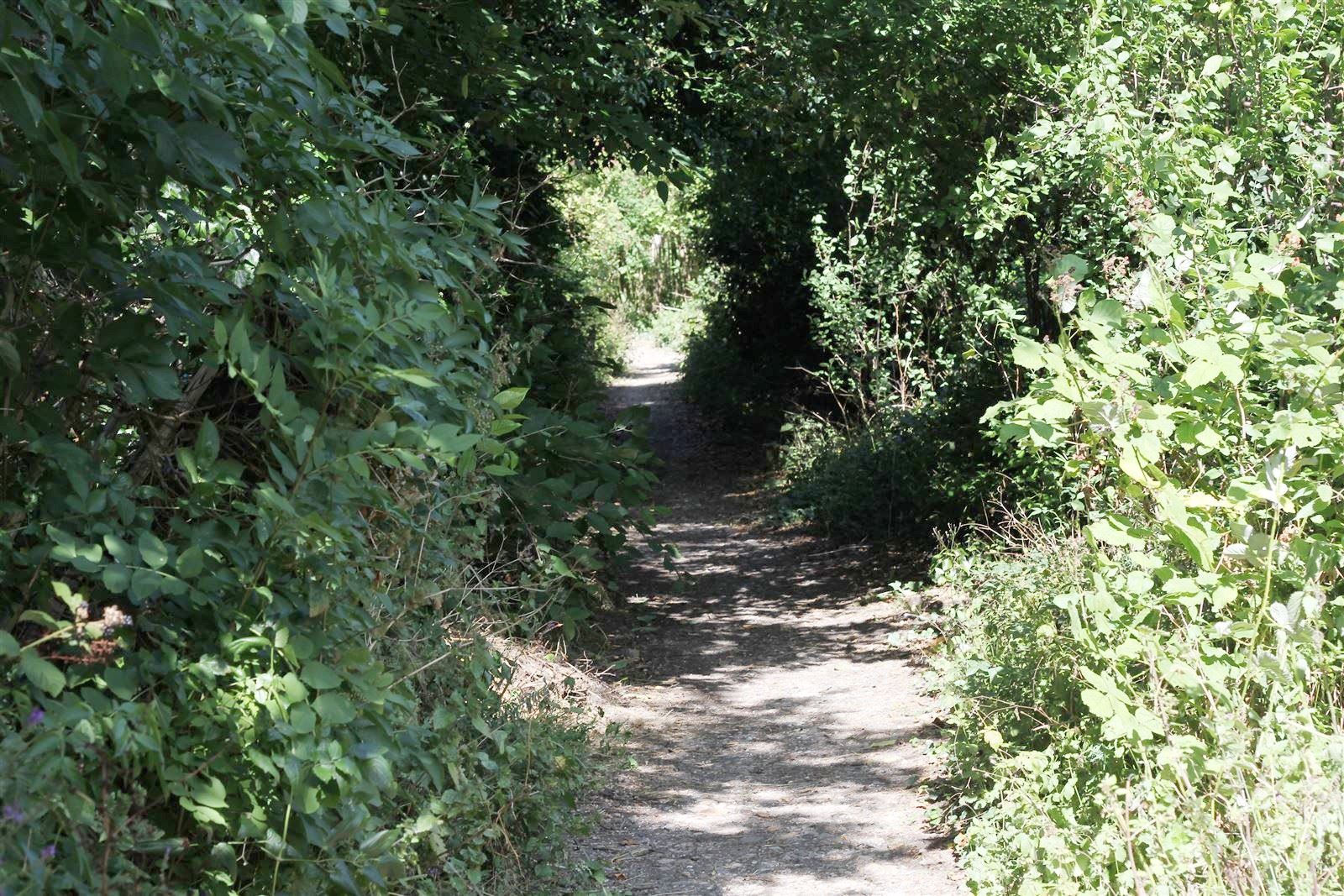 Locations Hub - Croham Hurst