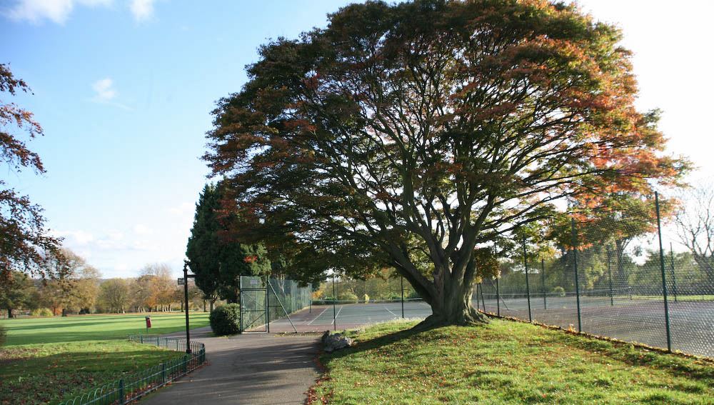 Locations Hub - Hendon Park