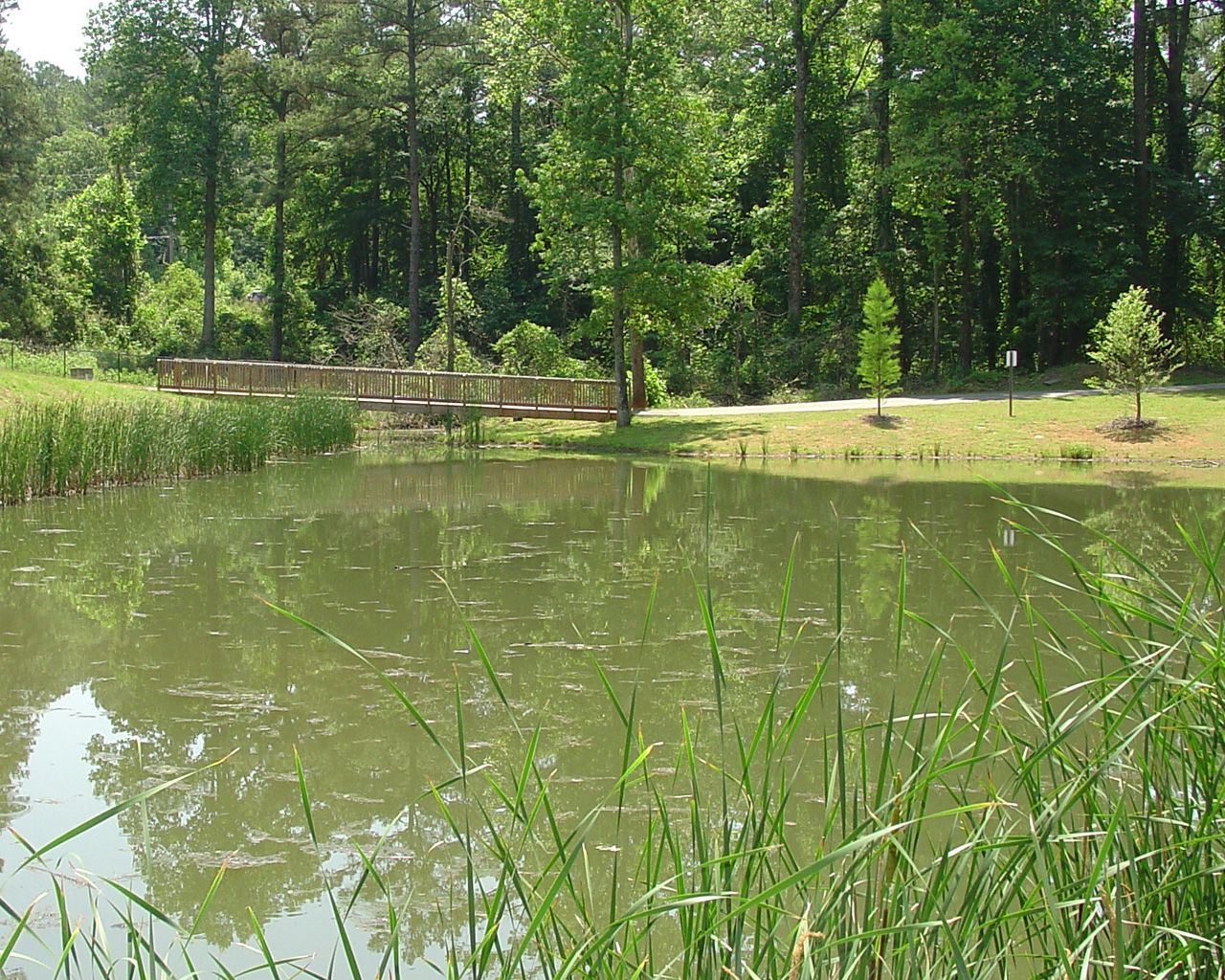 Locations Hub - Best Friend Park