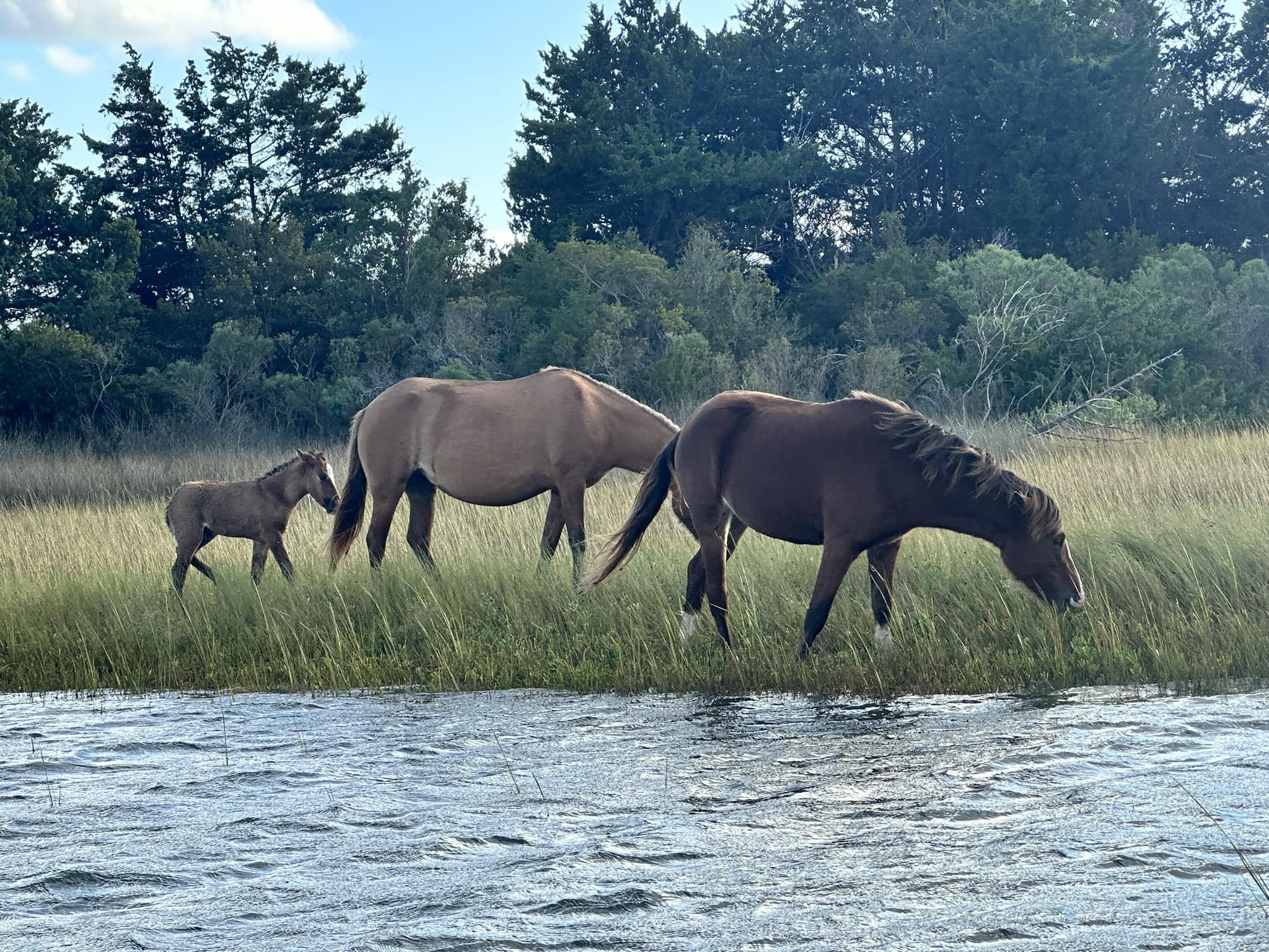 Locations Hub - BeauTonic