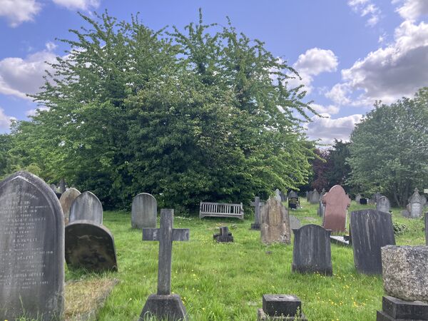 Locations Hub - London Road Cemetery