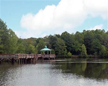 Locations Hub - Club Drive Park