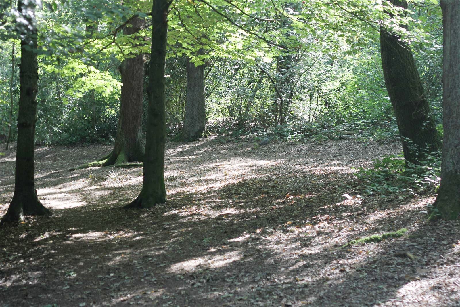 Locations Hub - Croham Hurst