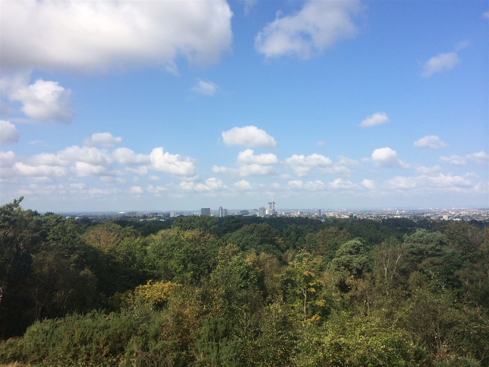Locations Hub - Addington Hills Viewing Platform