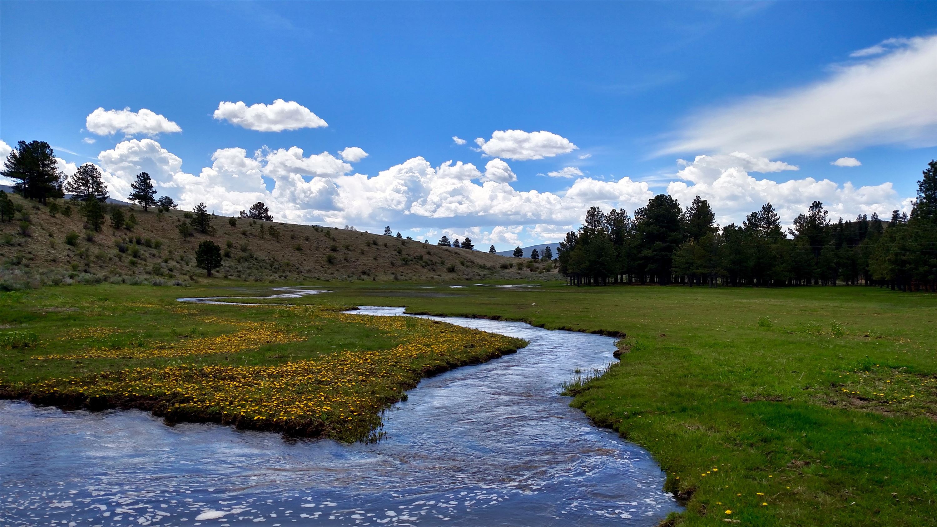 Locations Hub - C Diamond C Ranch