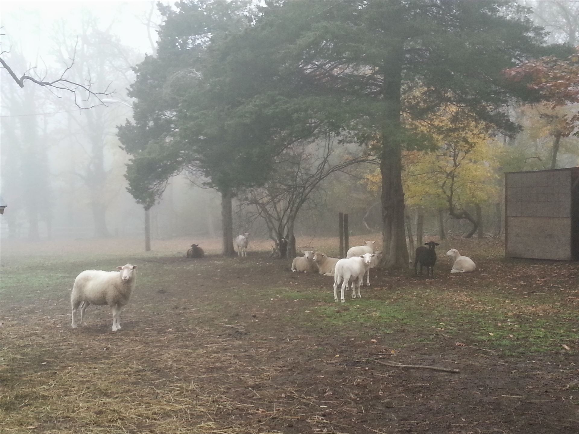 Locations Hub - Smithtown Historical Society (Collection)