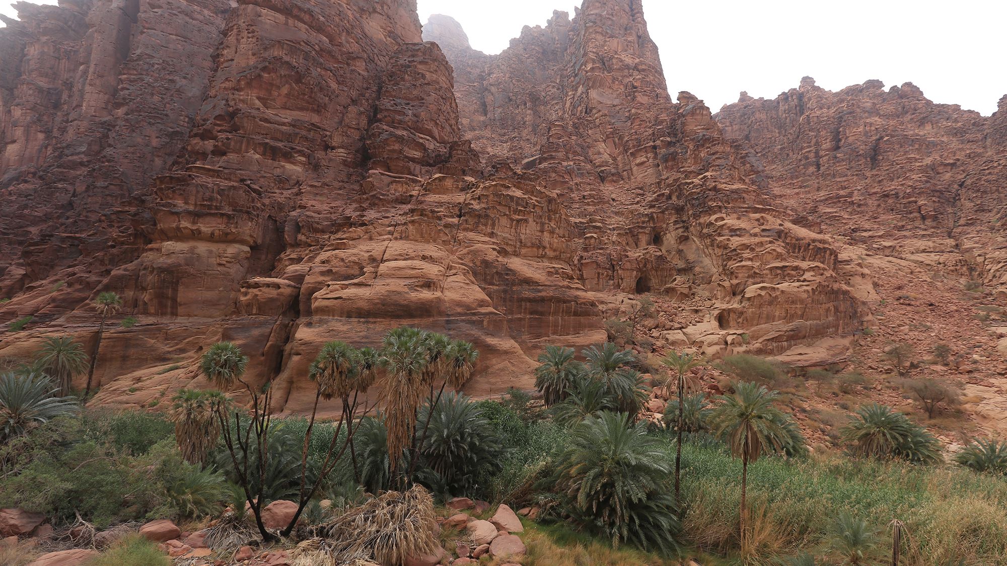 Locations Hub - Wadi Al-Disah - وادي الديسة