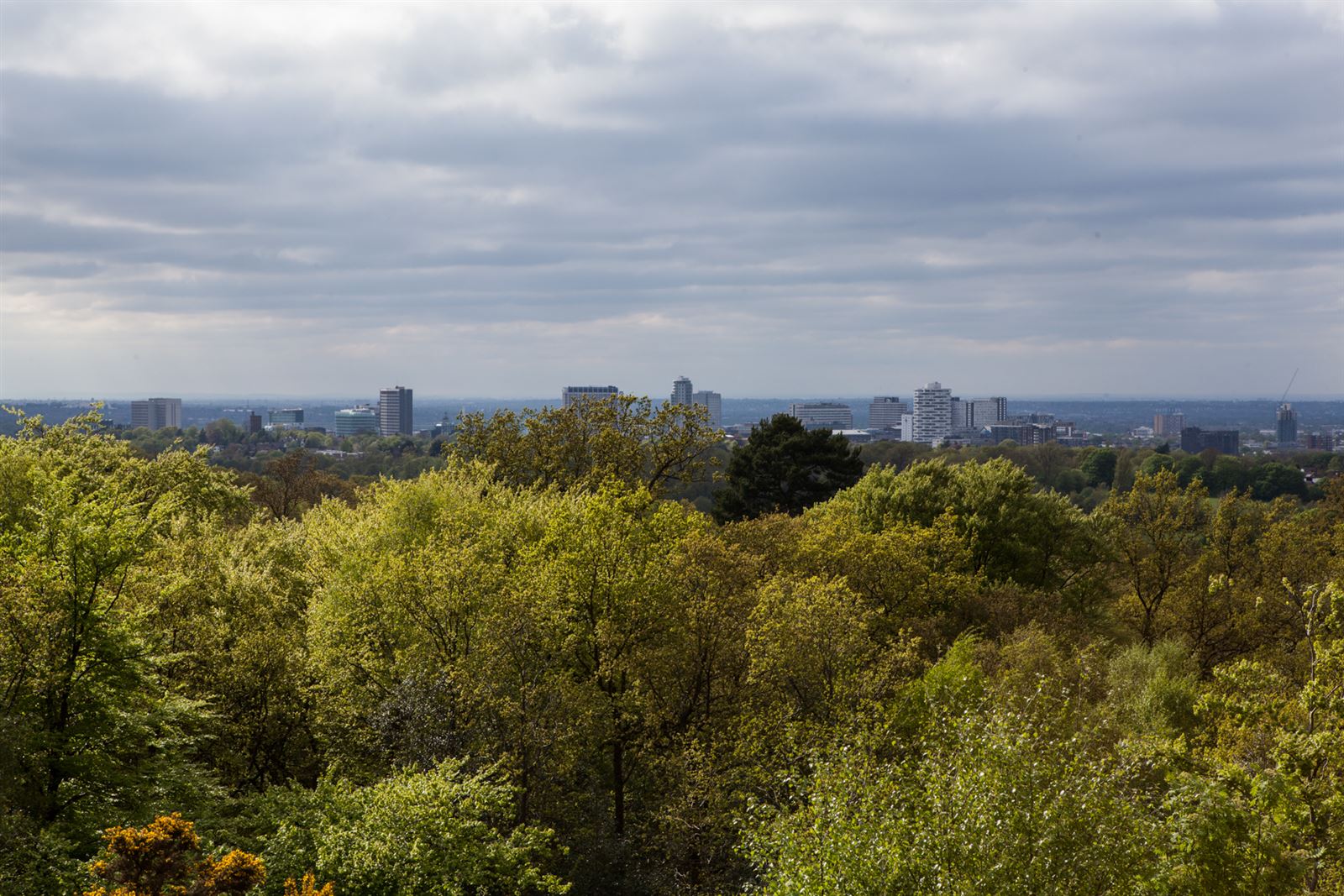 Locations Hub - Addington Hills Viewing Platform