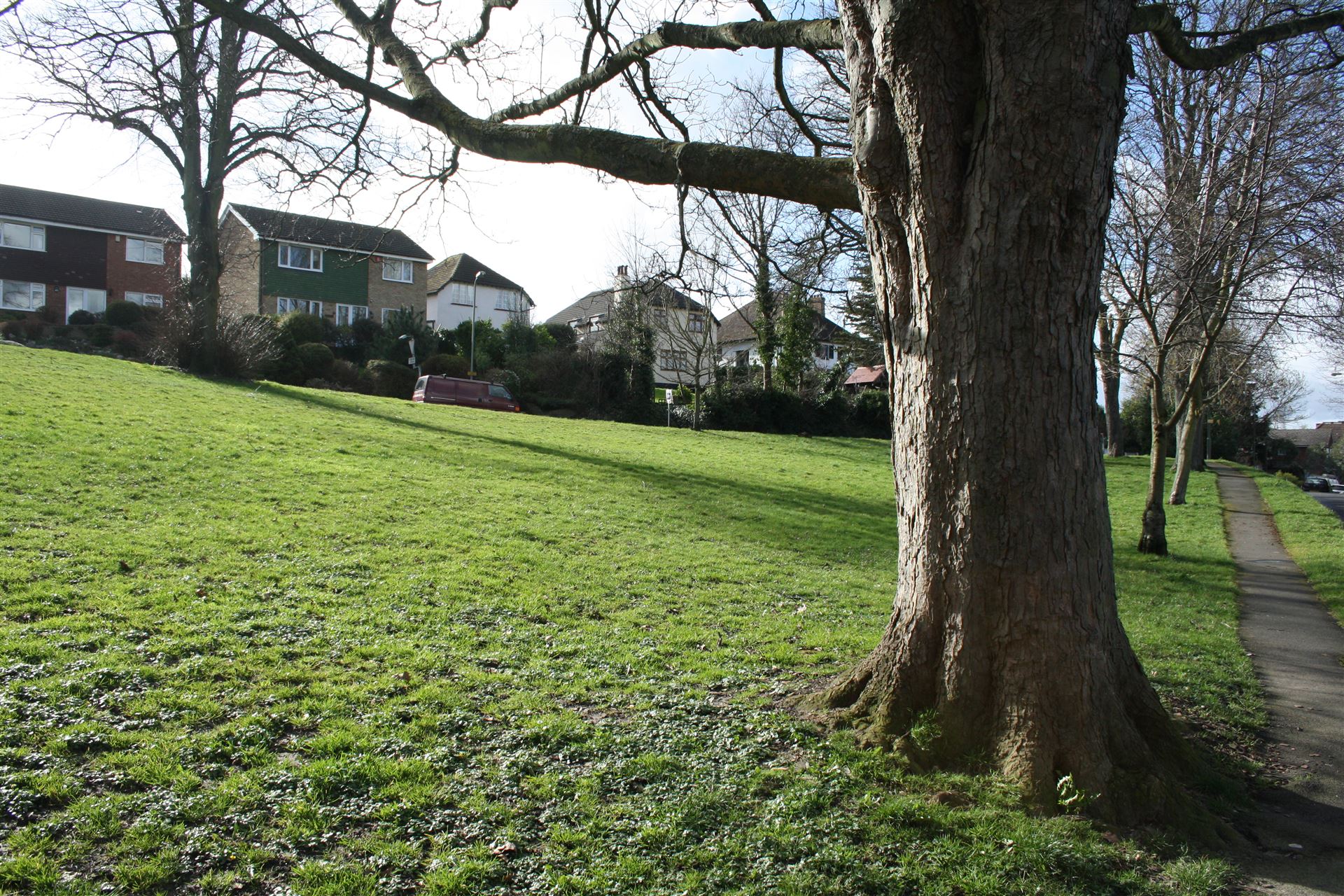 Locations Hub - Broomhill Common