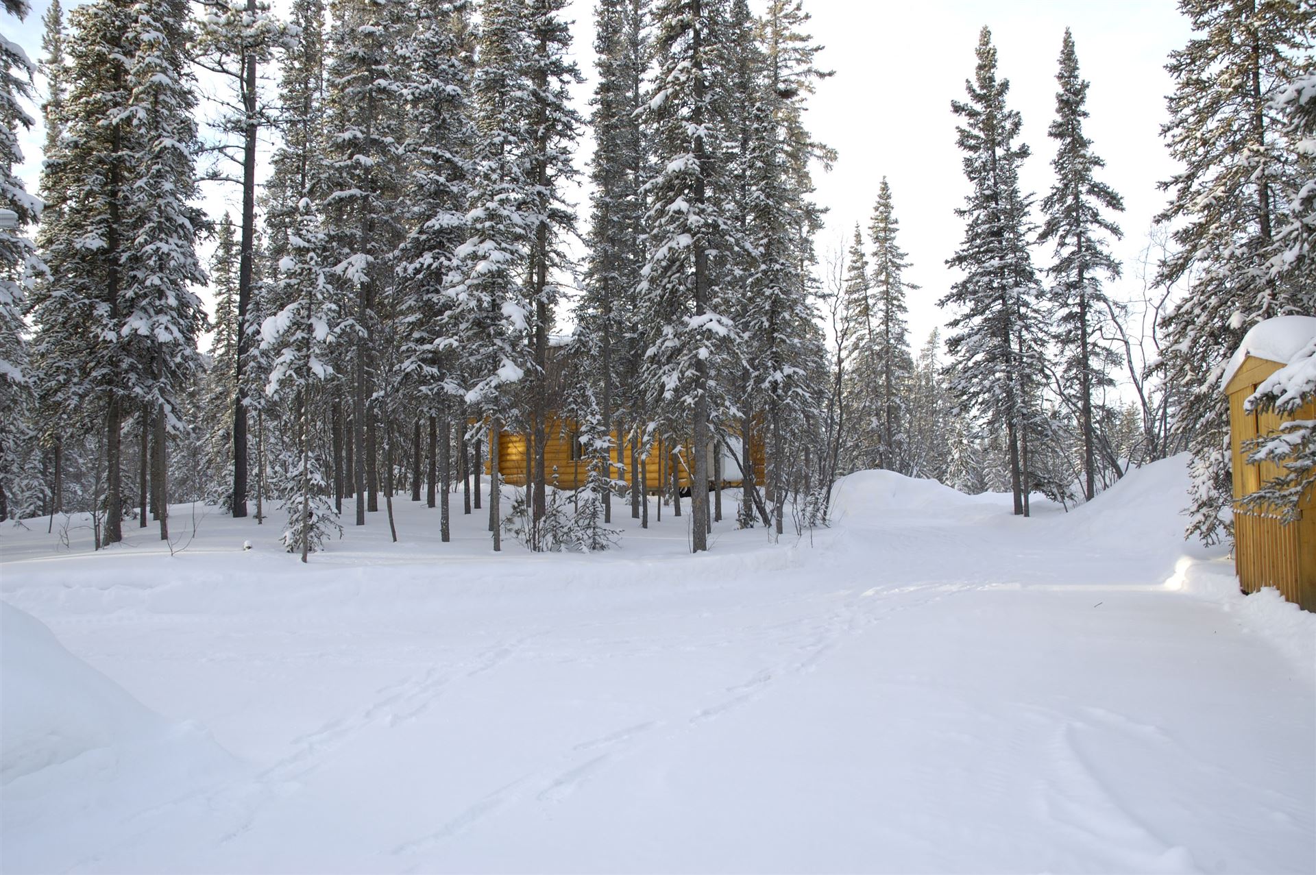 Locations Hub - Yukon Forest Cabins