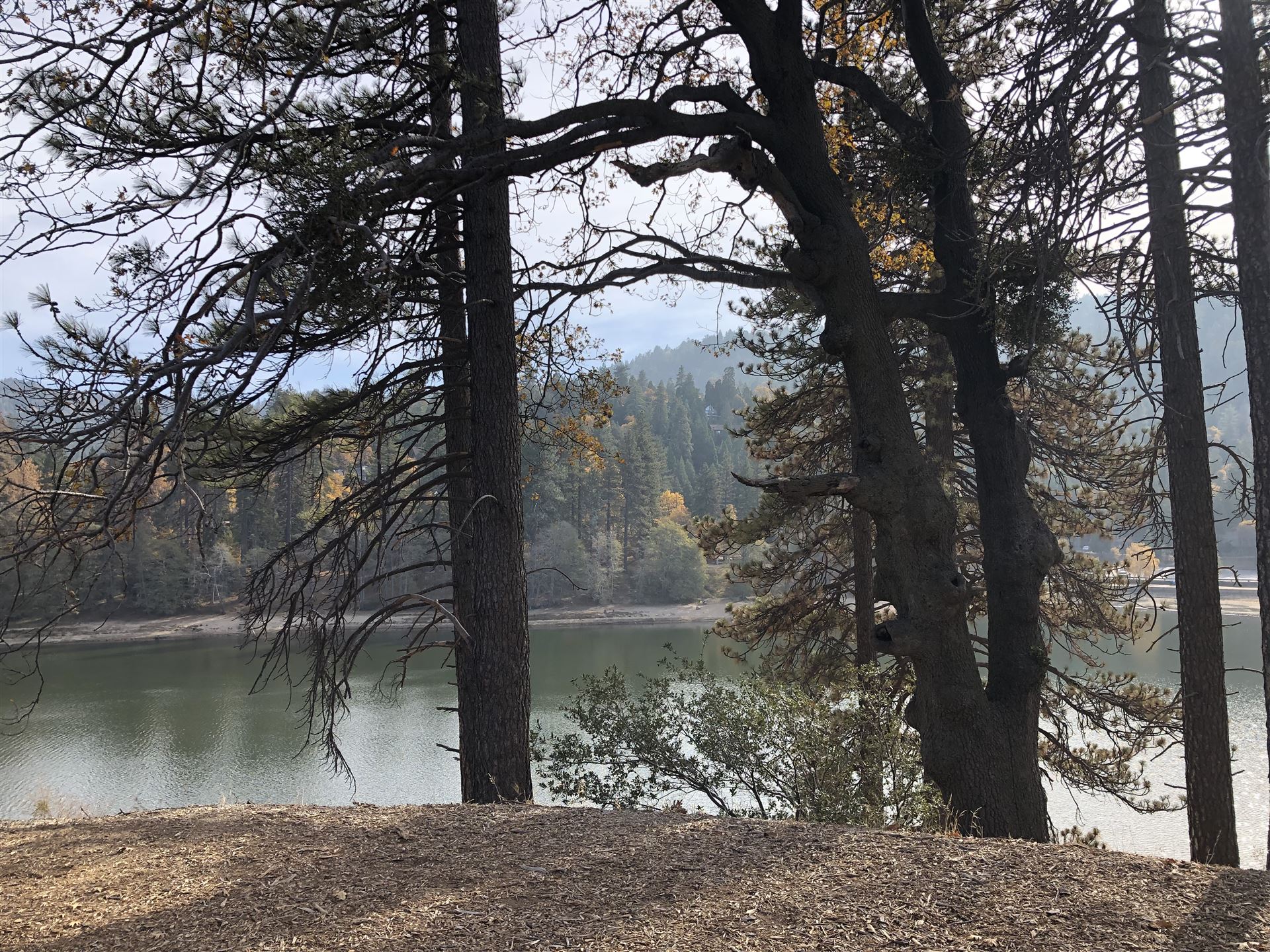 Locations Hub - Lake Gregory