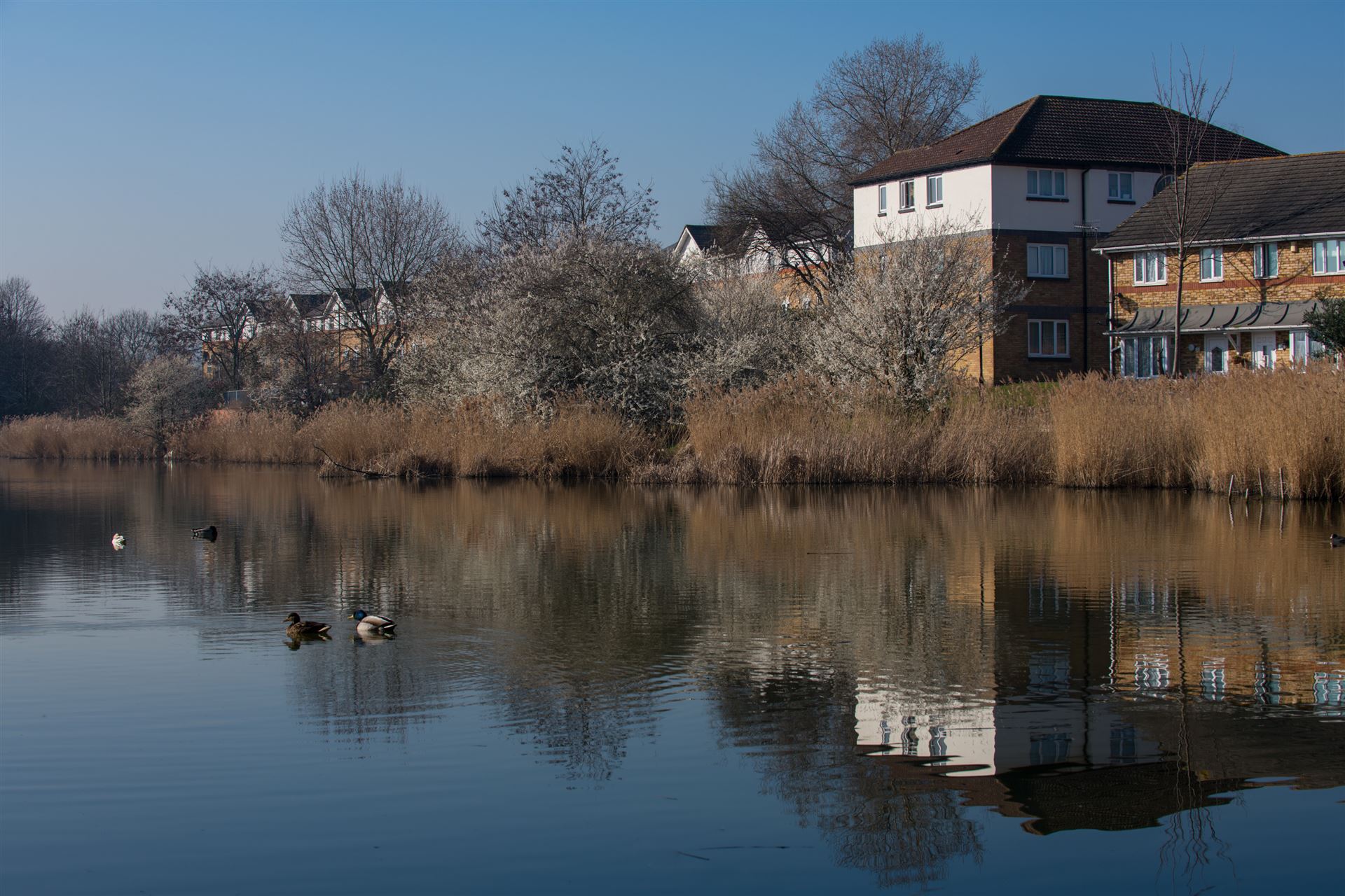 Locations Hub - Thamesmead - Birchmere Park