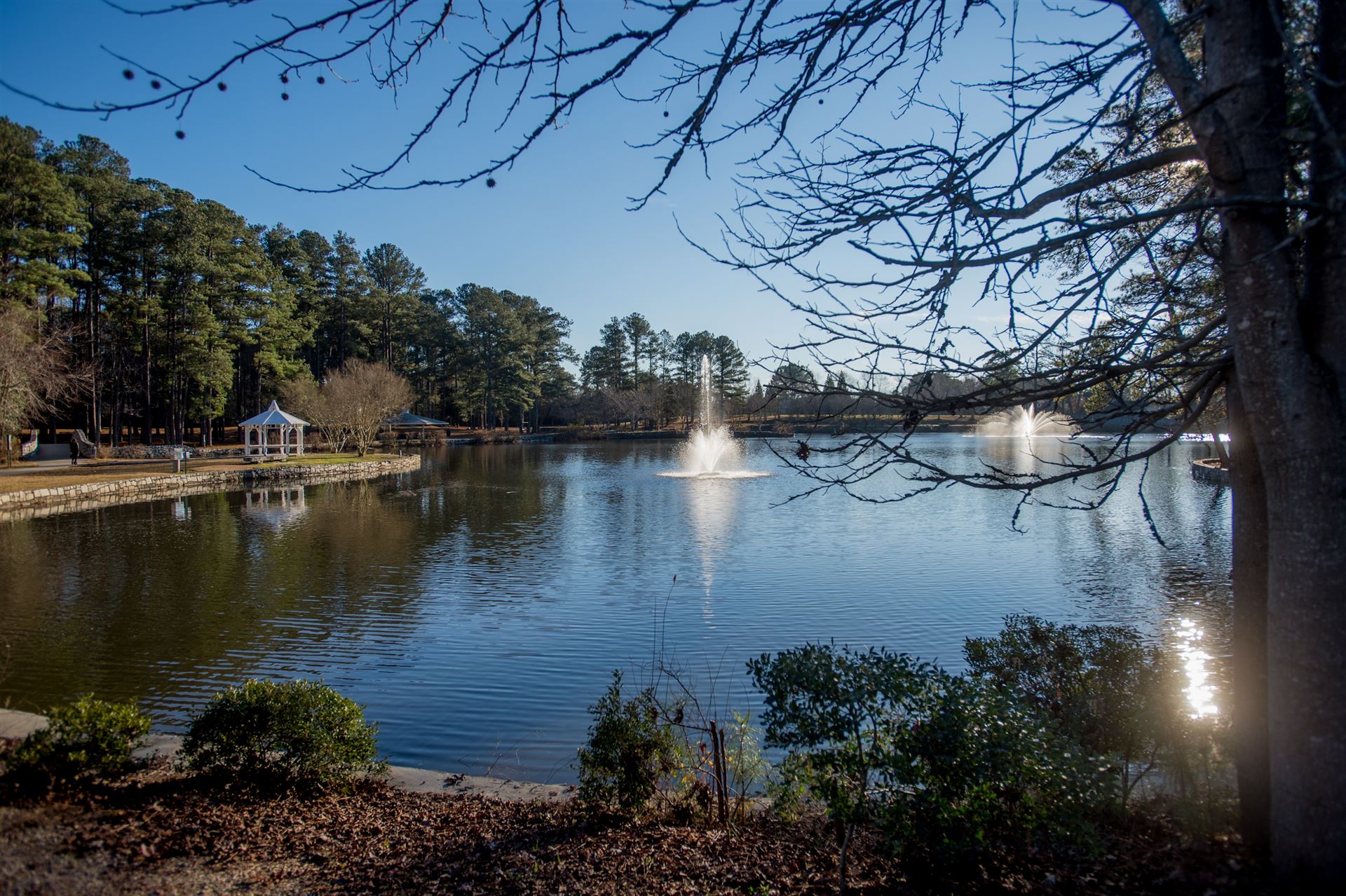 Locations Hub - T.W. Briscoe Park