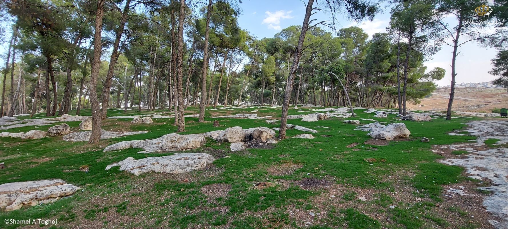 Locations Hub - King of Bahrain Forest