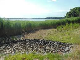 Locations Hub - Conscience Bay