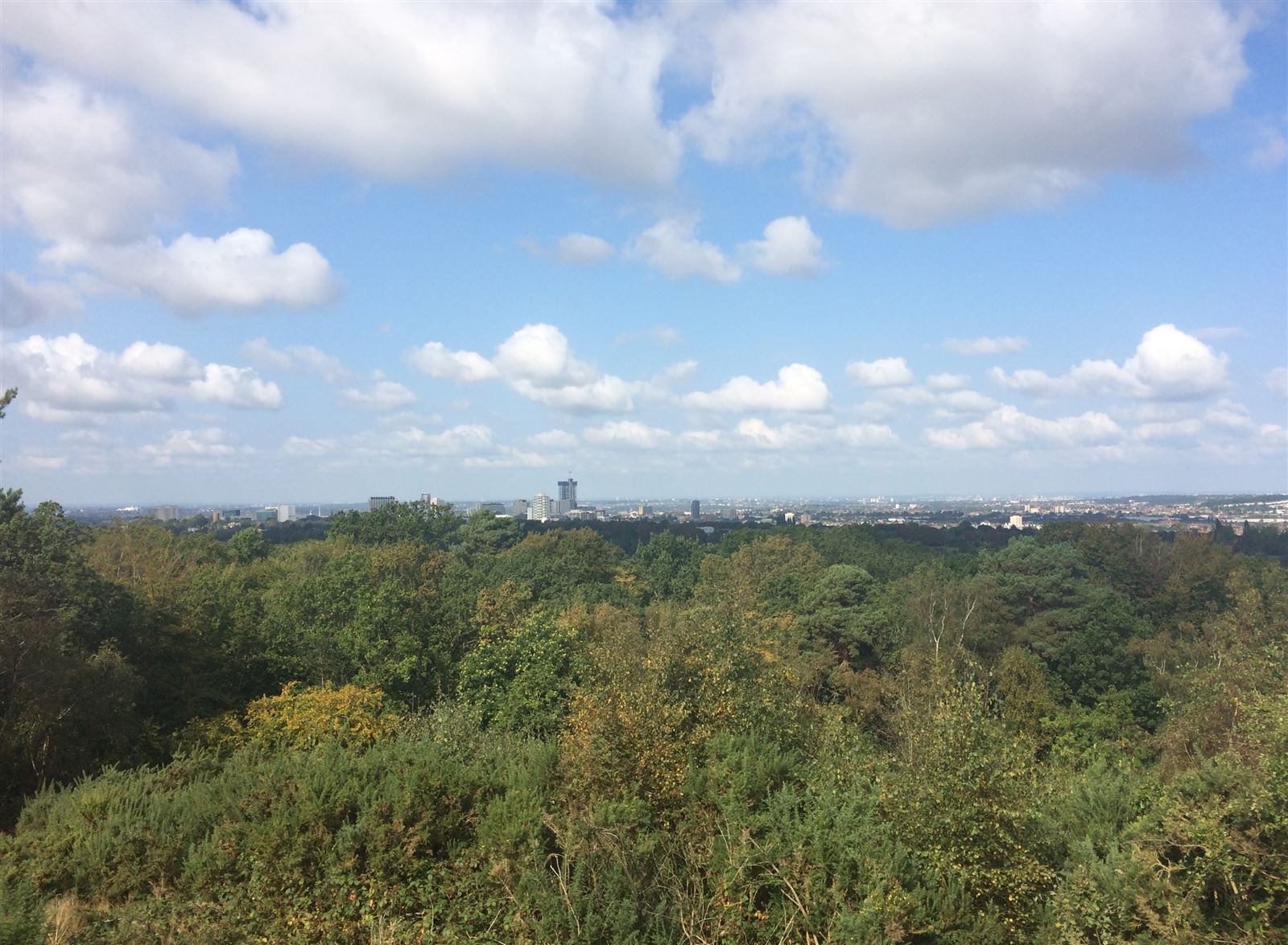 Locations Hub - Addington Hills Viewing Platform