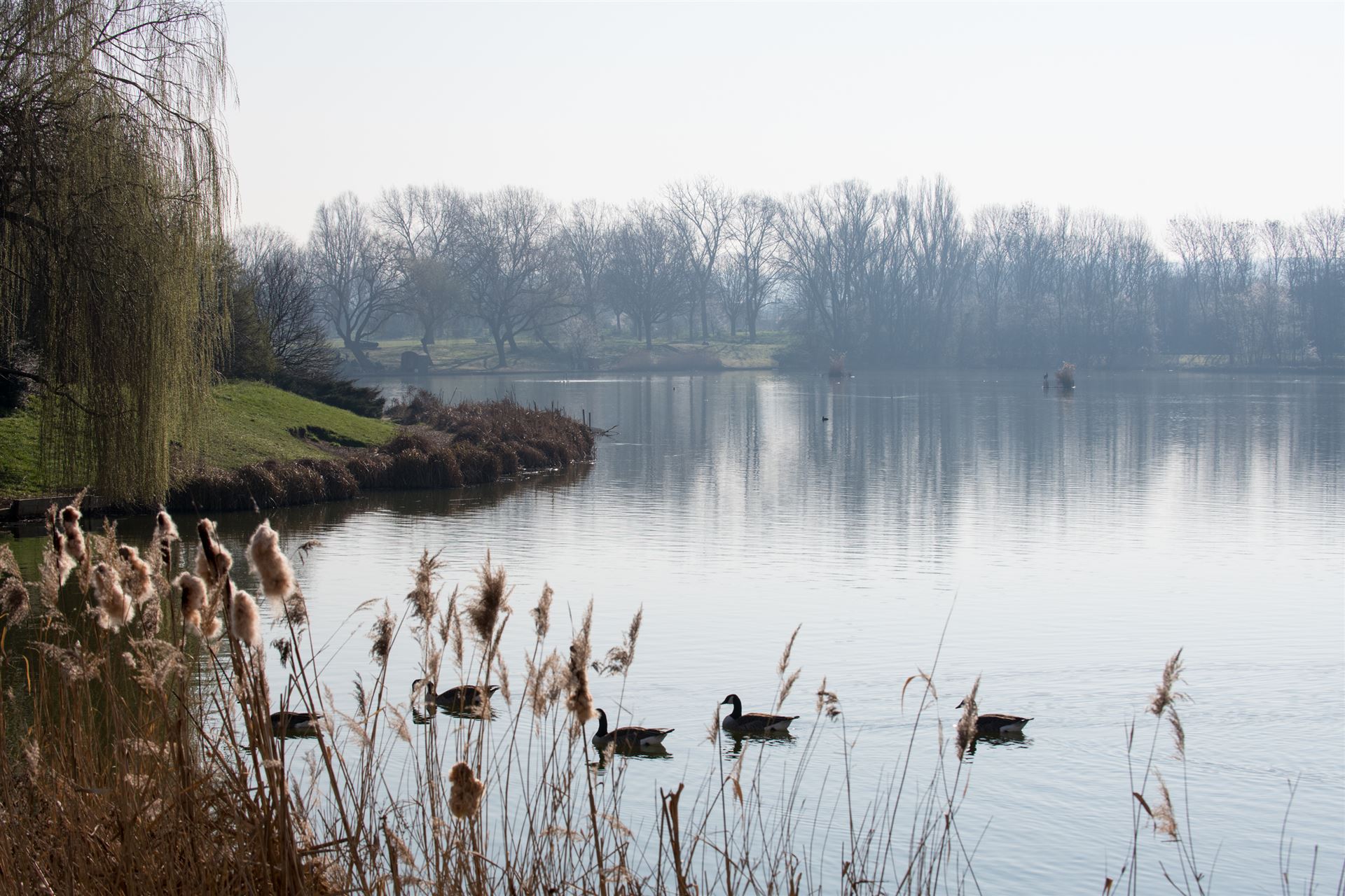 Locations Hub - Thamesmead - Birchmere Park