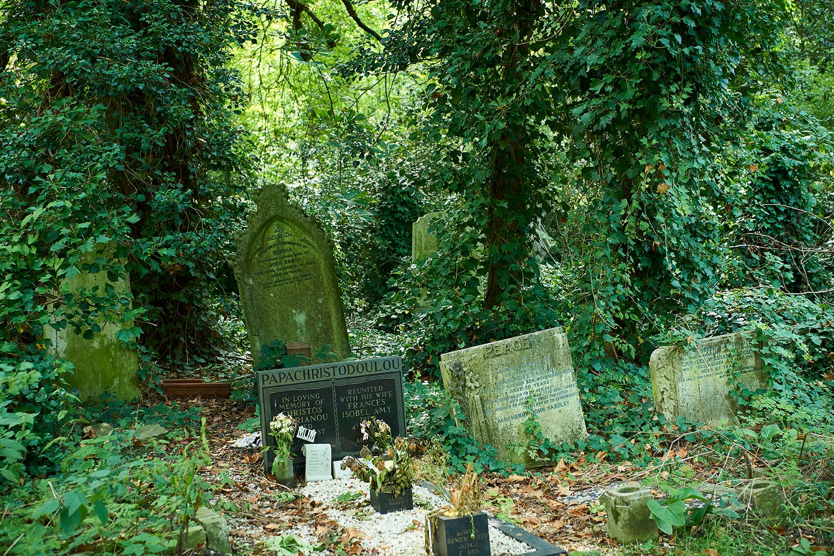 Locations Hub - Nunhead Cemetery