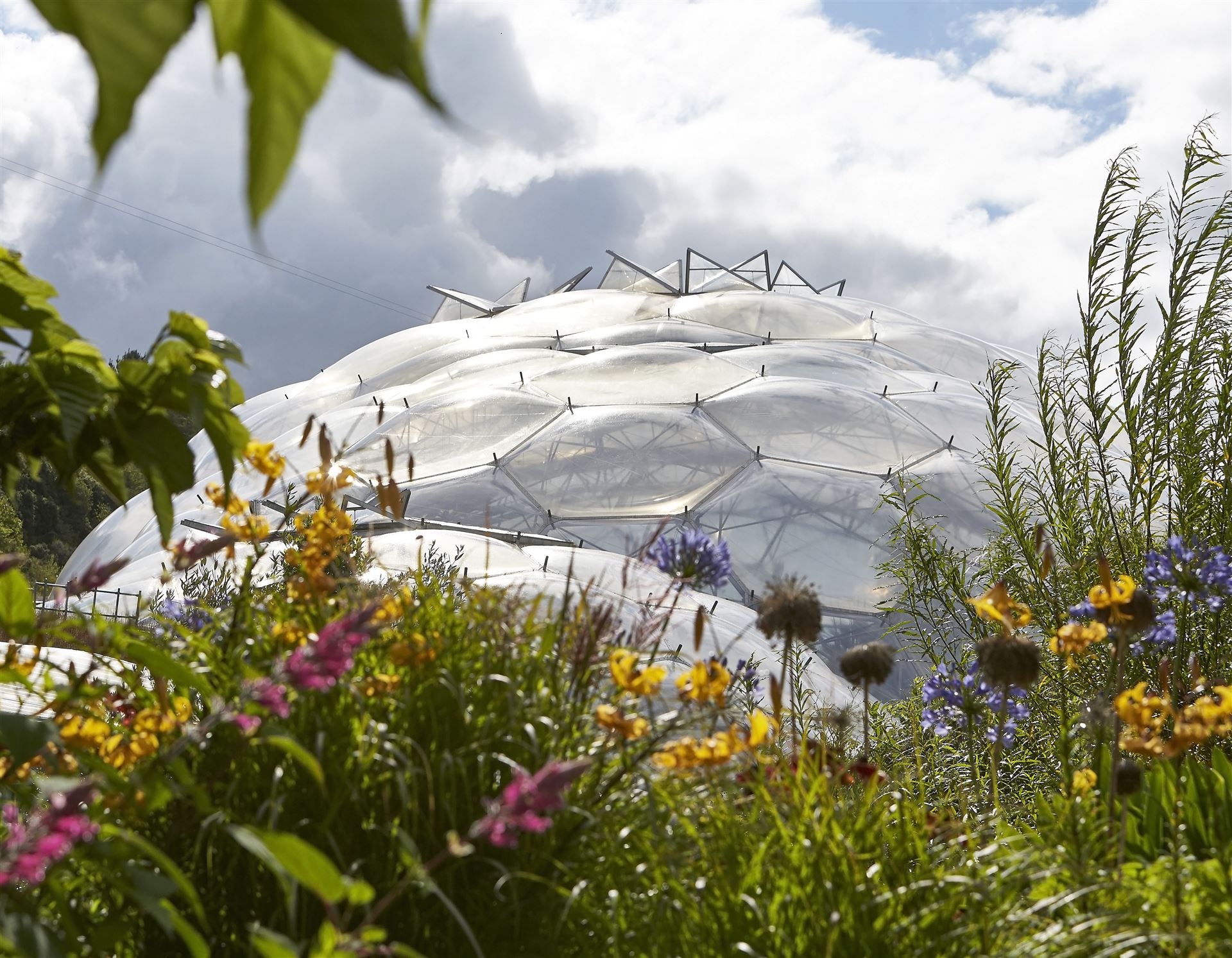 Locations Hub - The Eden Project