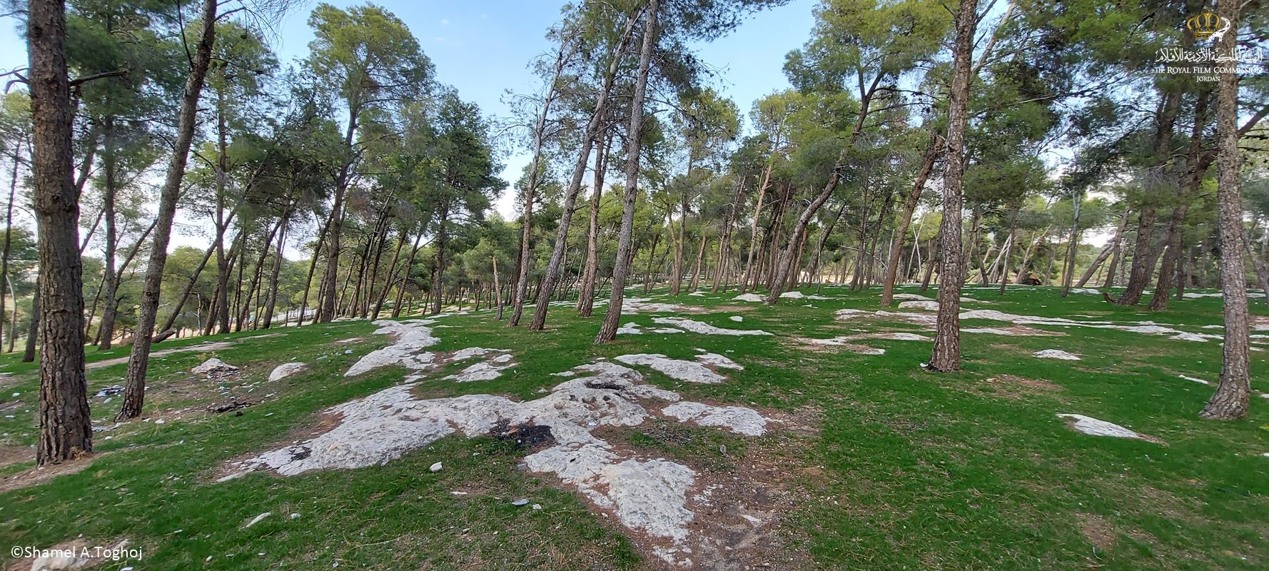 Locations Hub - King of Bahrain Forest