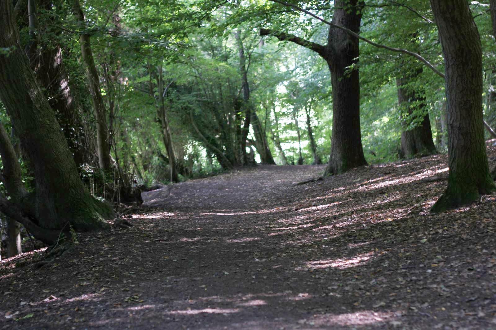 Locations Hub - Croham Hurst