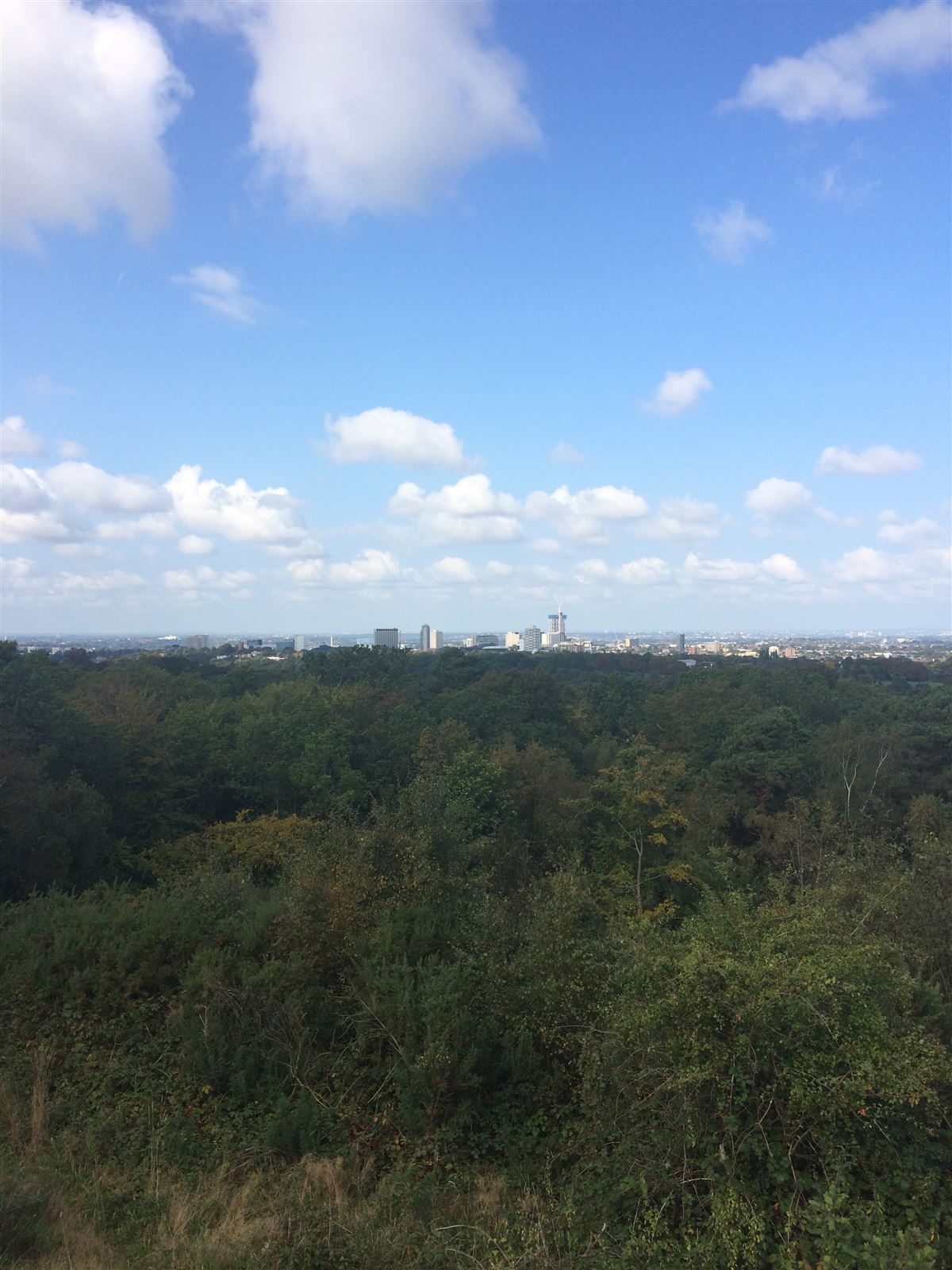 Locations Hub - Addington Hills Viewing Platform
