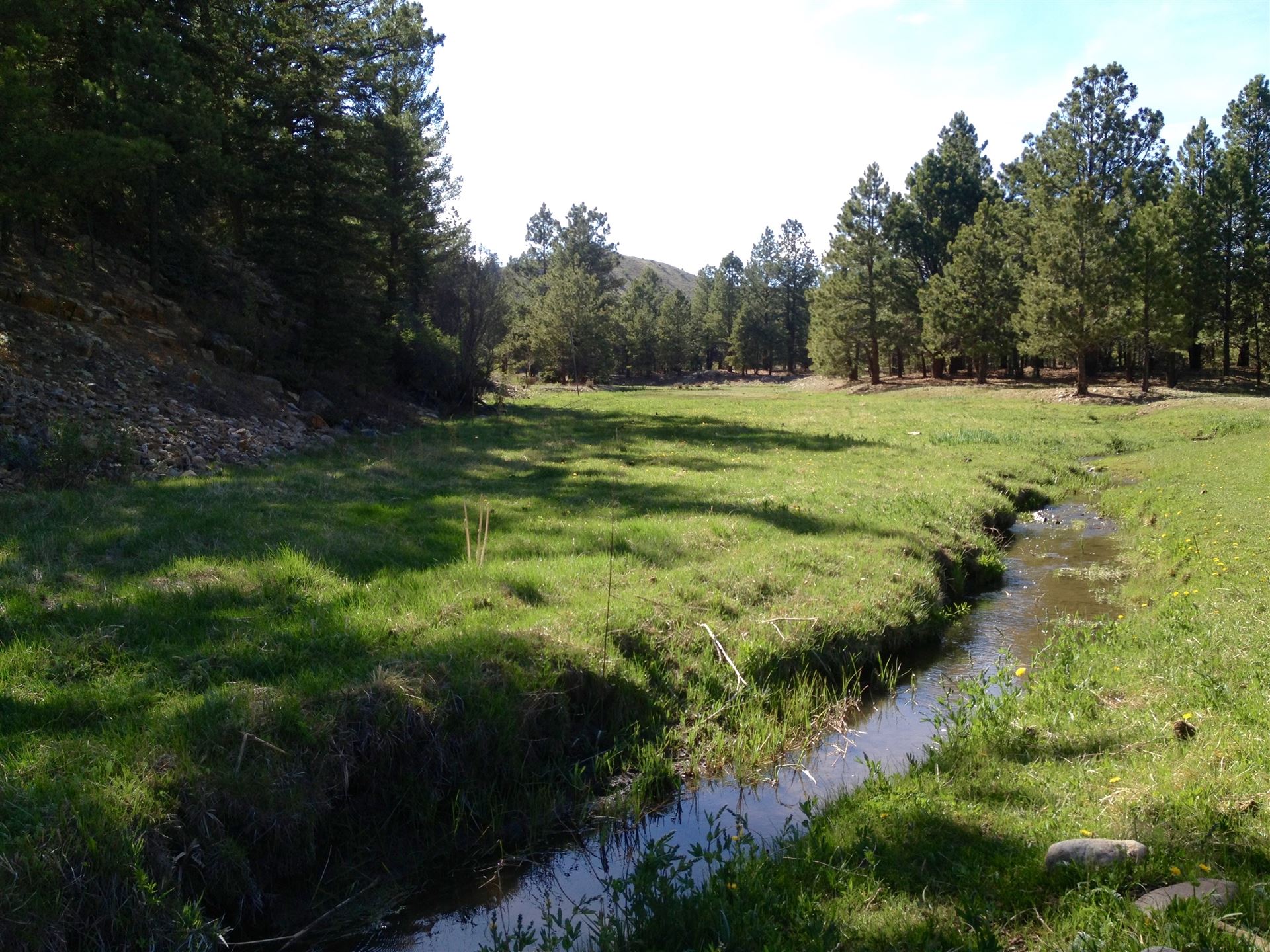 Locations Hub - C Diamond C Ranch