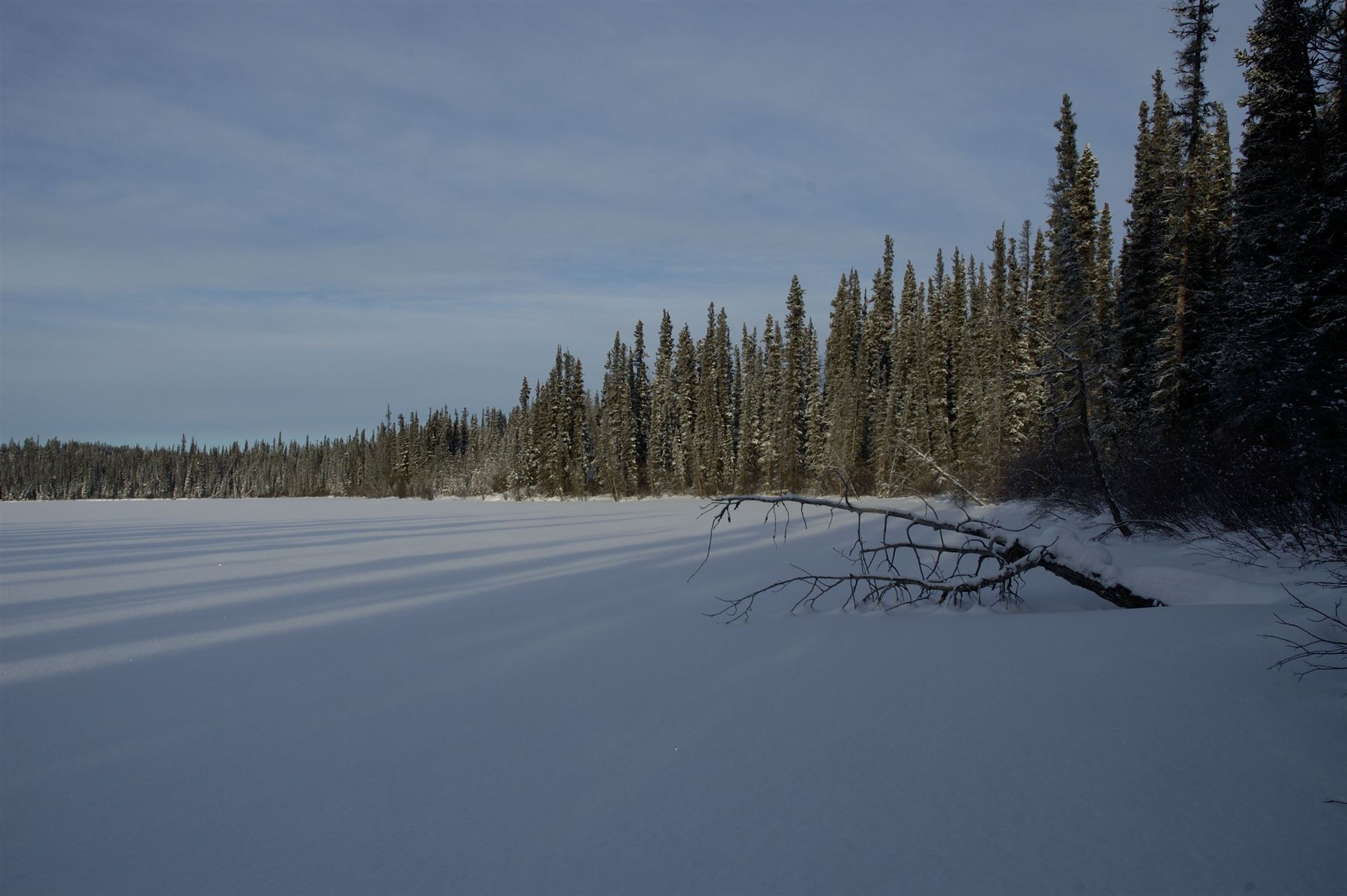 Locations Hub - Yukon Forest Cabins