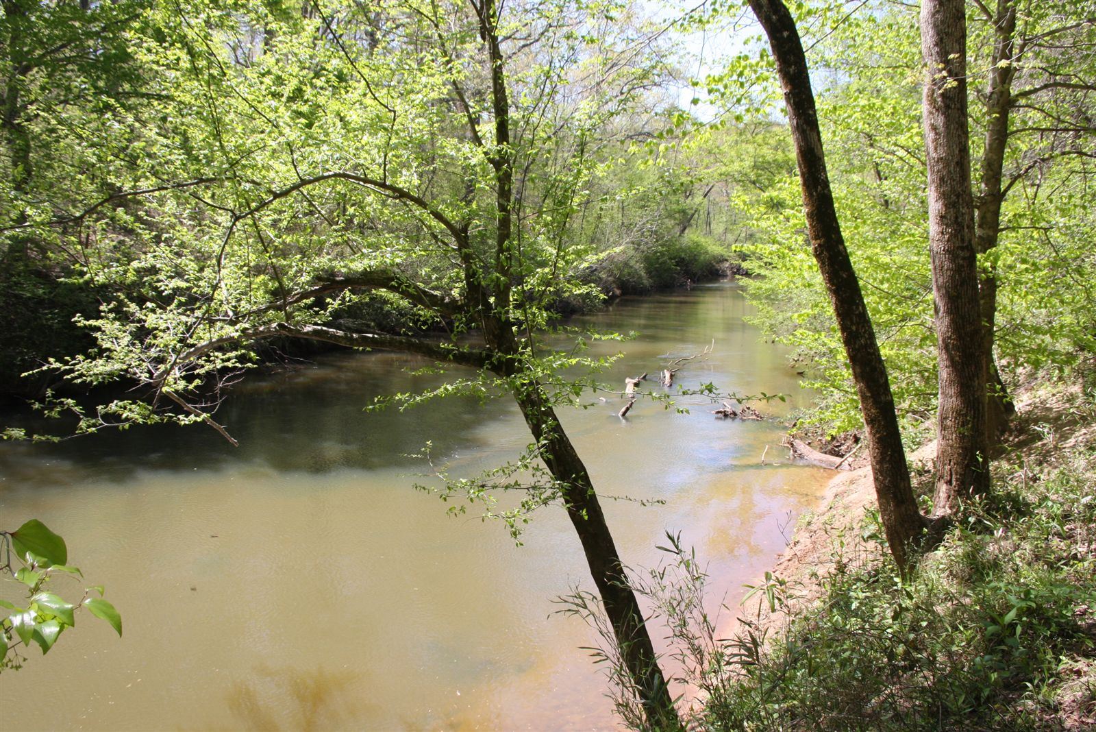 Locations Hub - Yellow River Park