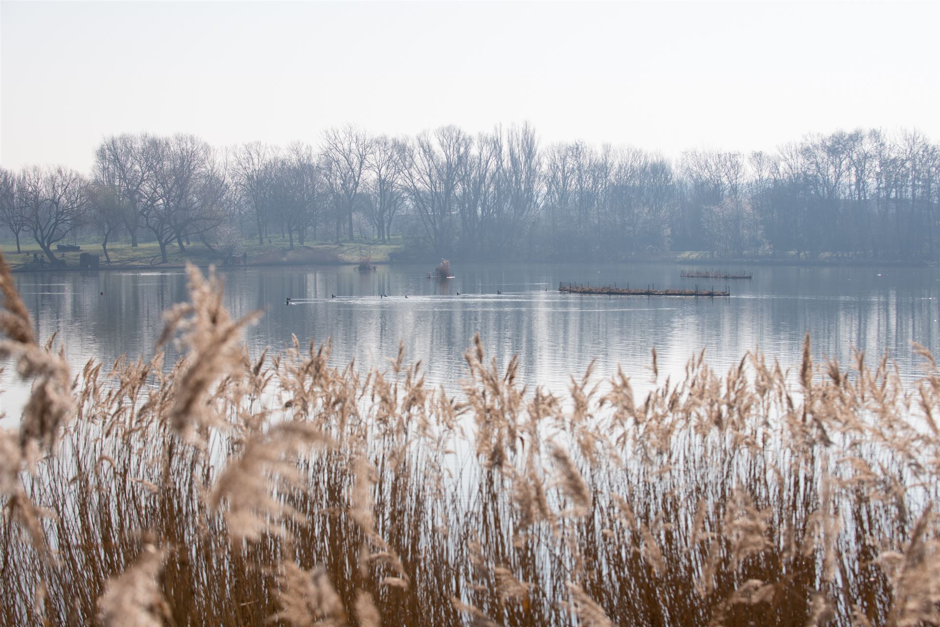 Locations Hub - Thamesmead - Birchmere Park