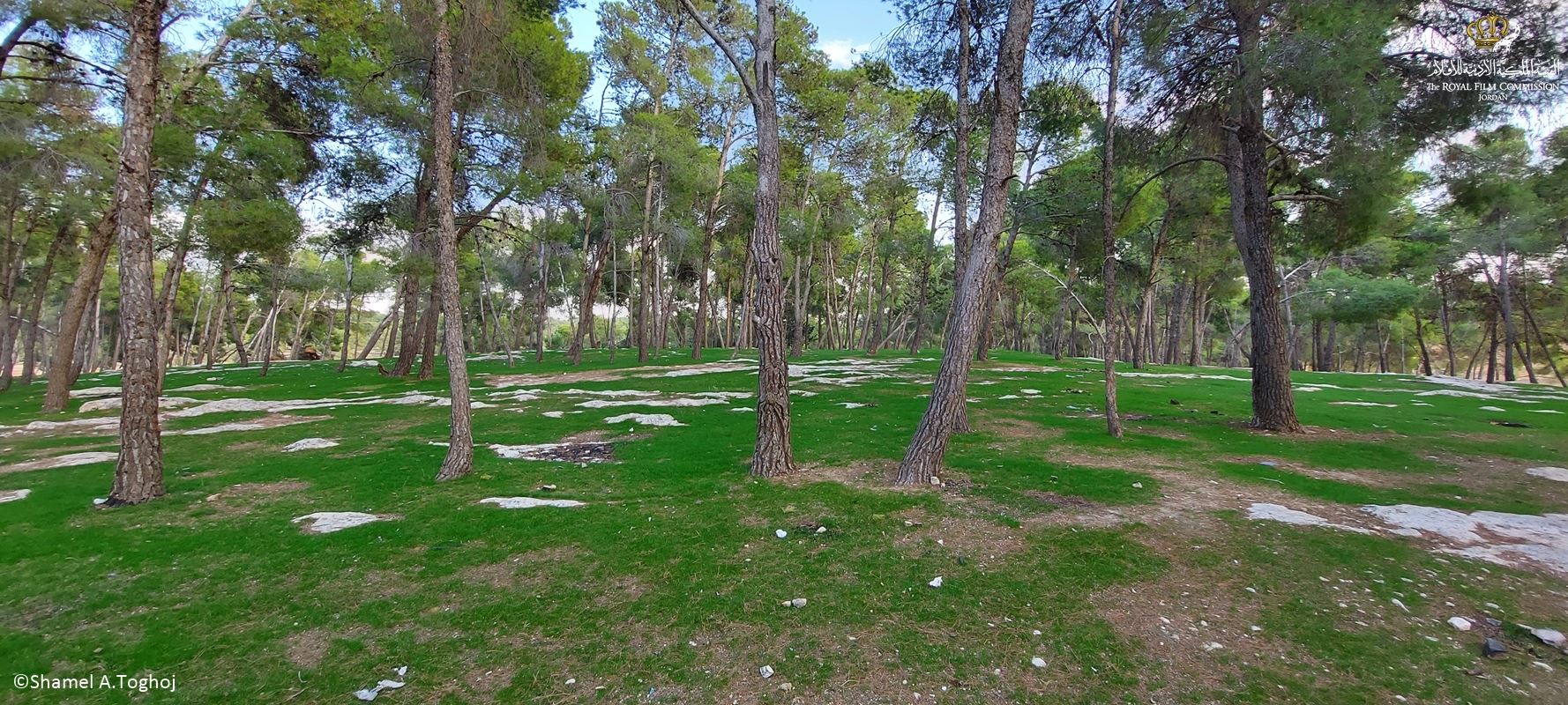 Locations Hub - King of Bahrain Forest