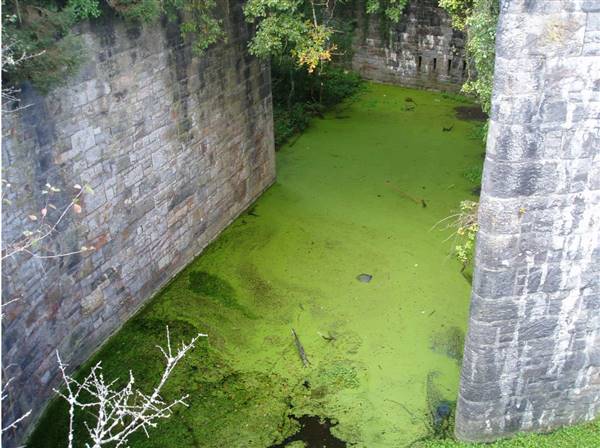 Locations Hub - Scraesdon Fort