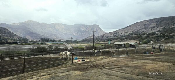 Locations Hub - River Oaks Ranch & Park Horse Project