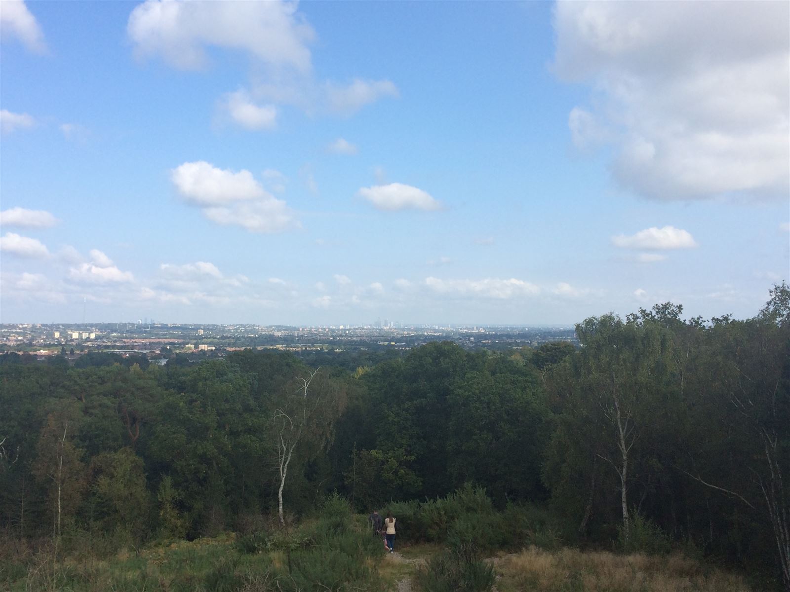Locations Hub - Addington Hills Viewing Platform