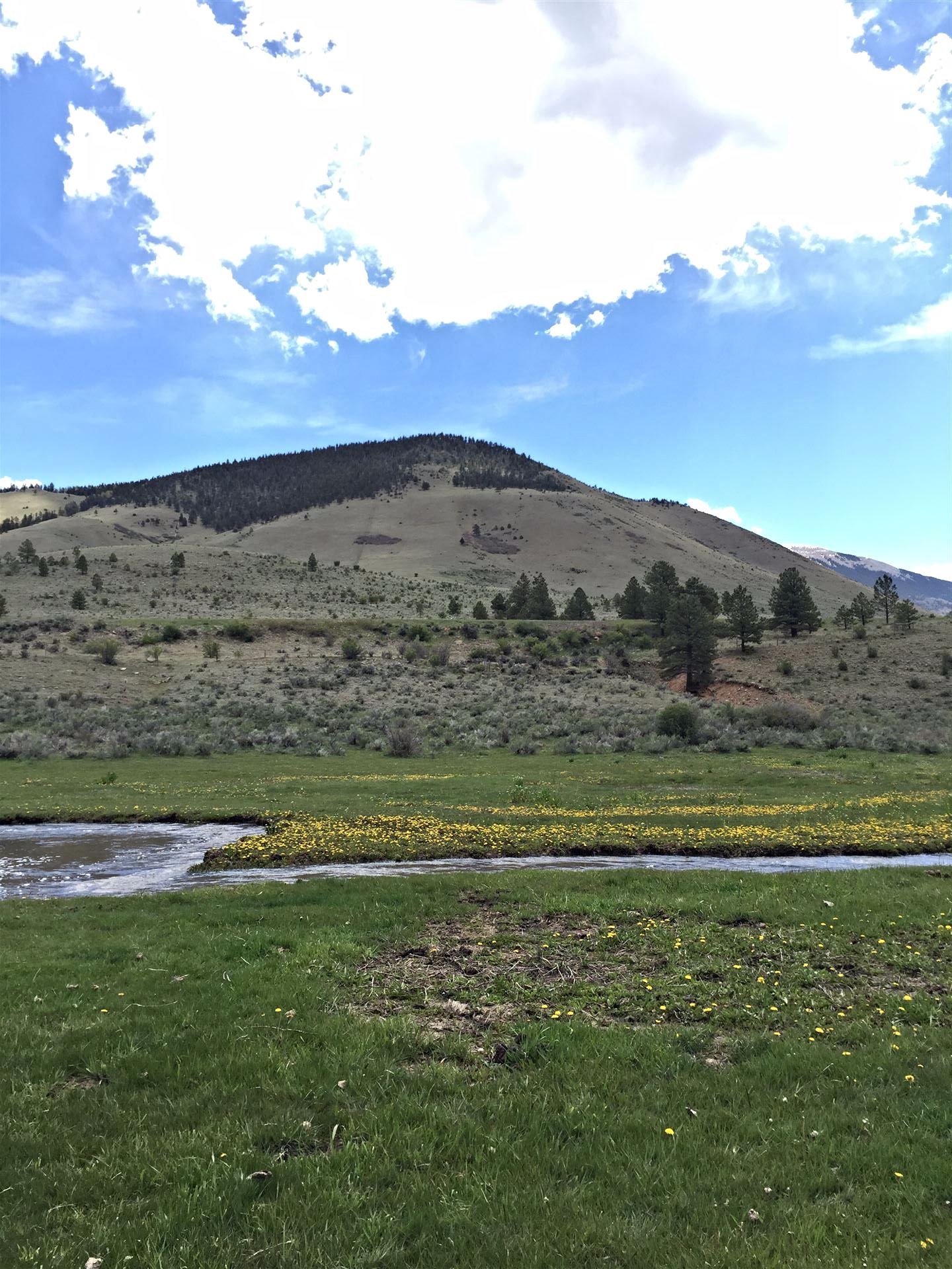 Locations Hub - C Diamond C Ranch