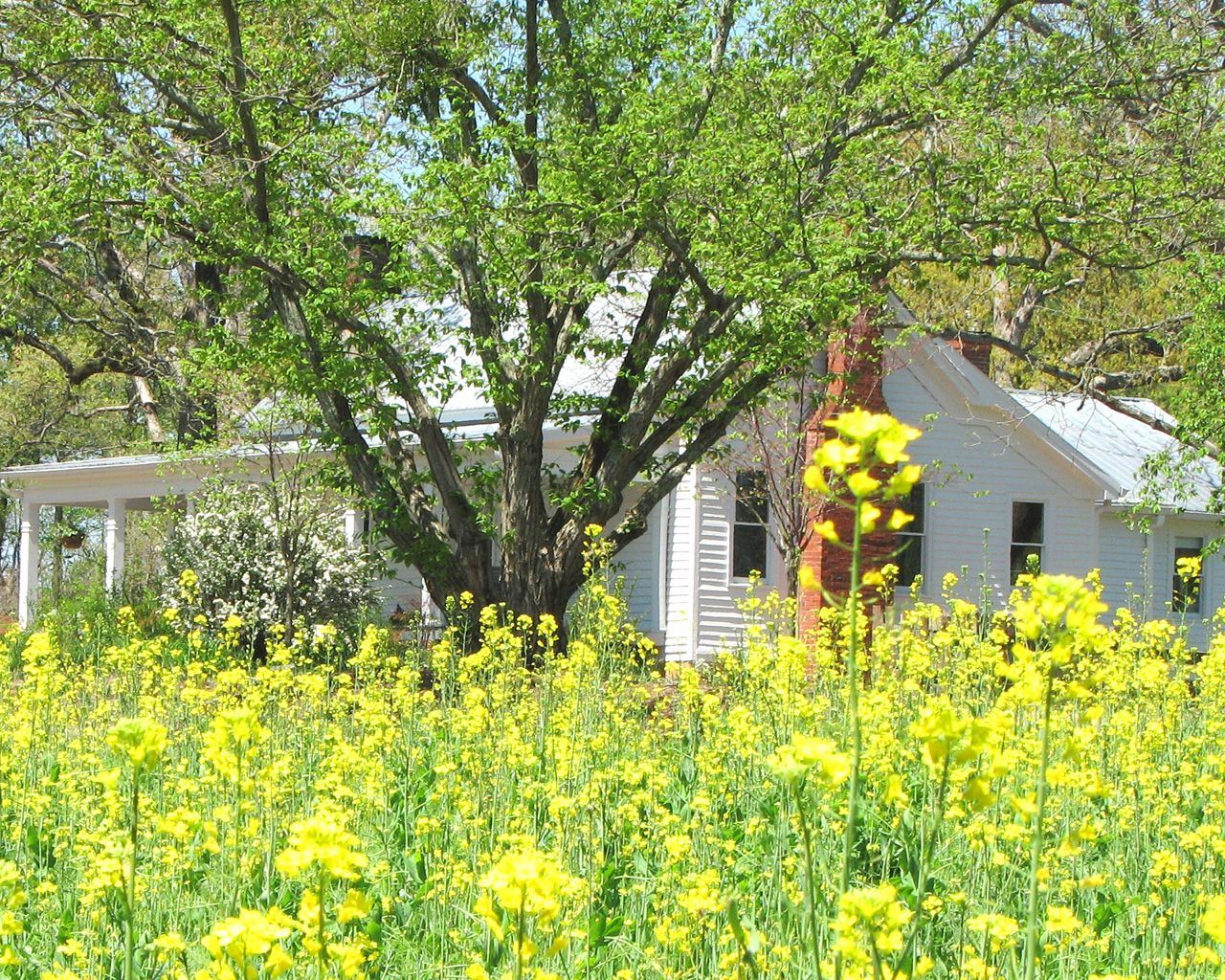 Locations Hub - McDaniel Farm Park