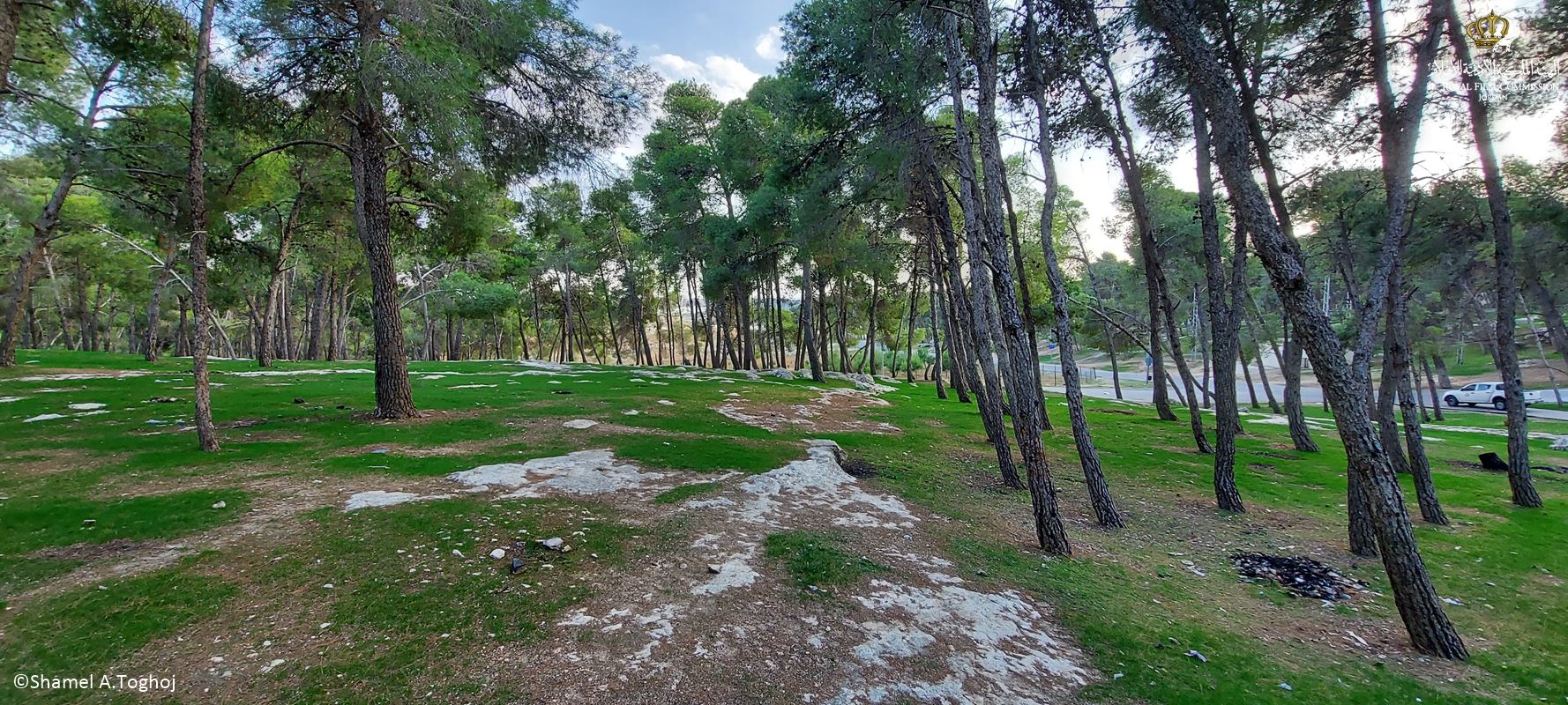 Locations Hub - King of Bahrain Forest