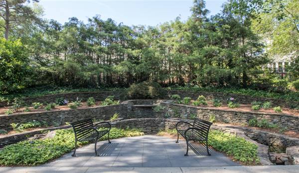 Locations Hub - Vines Park