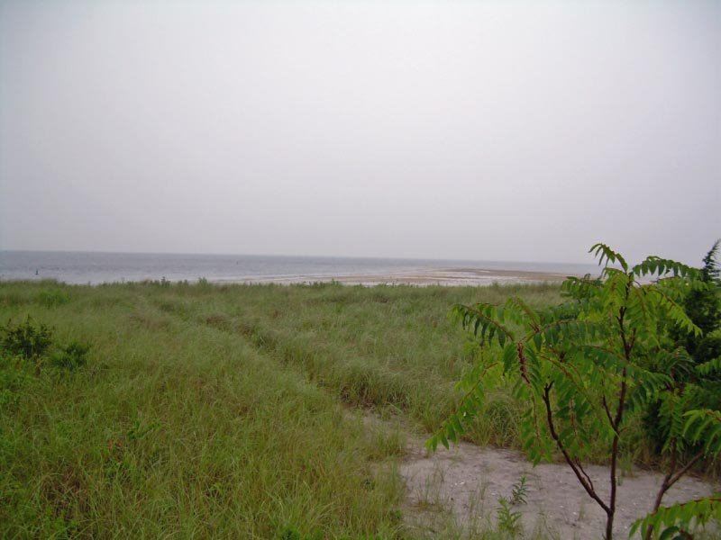 Locations Hub - West Meadow Beach