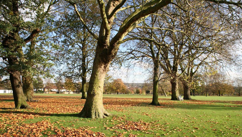 Locations Hub - Hendon Park