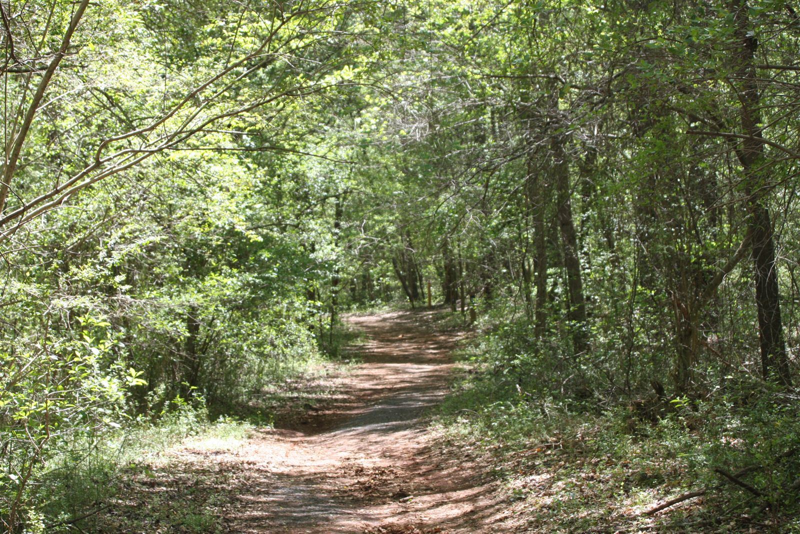 Locations Hub - Yellow River Park