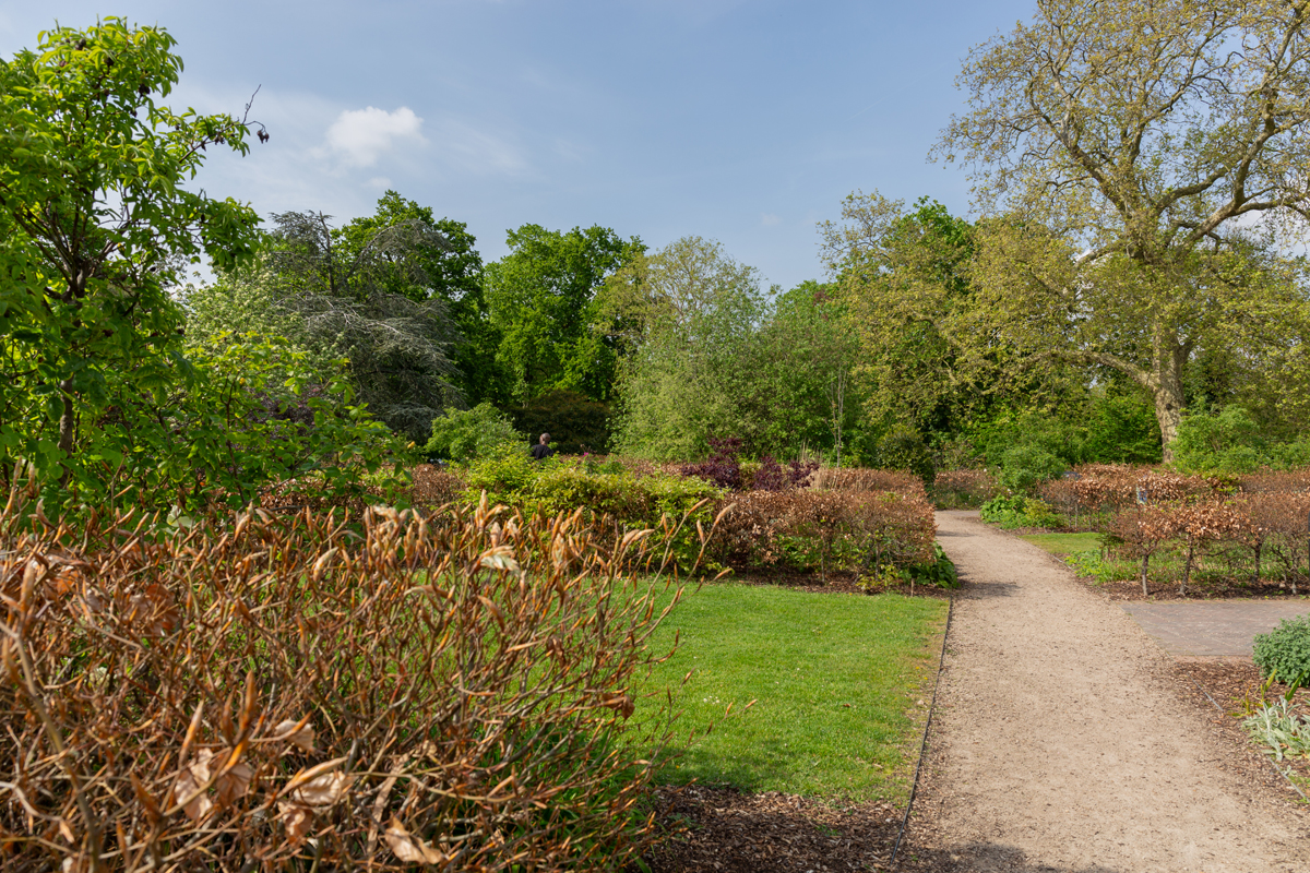 Locations Hub - Lloyd Park